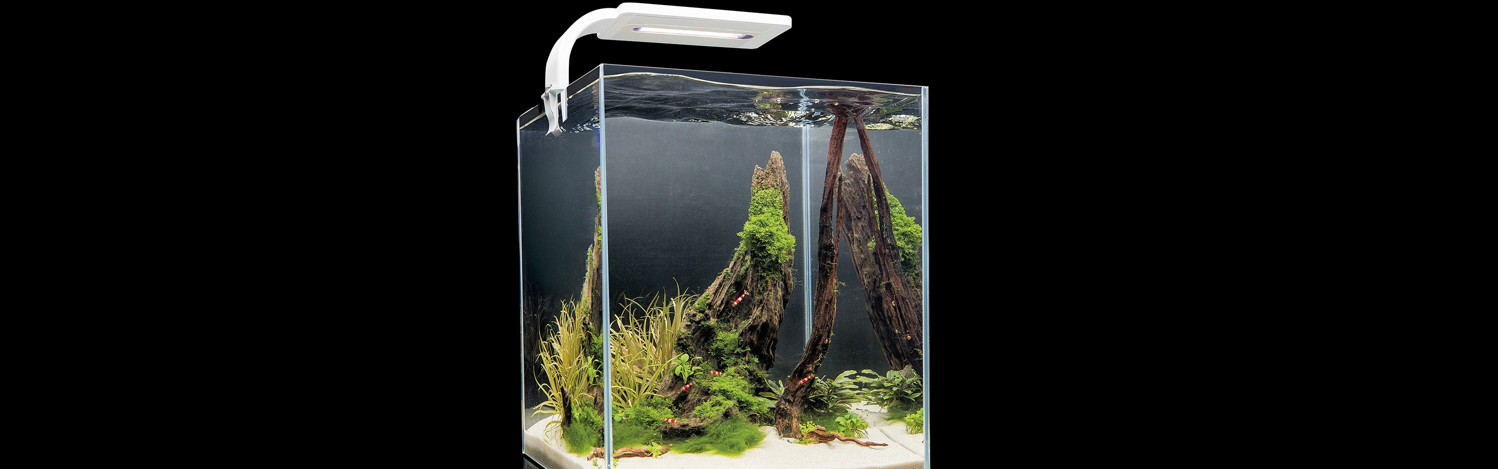 AQUAEL Aquarium kaufen | AQUAEL Shop