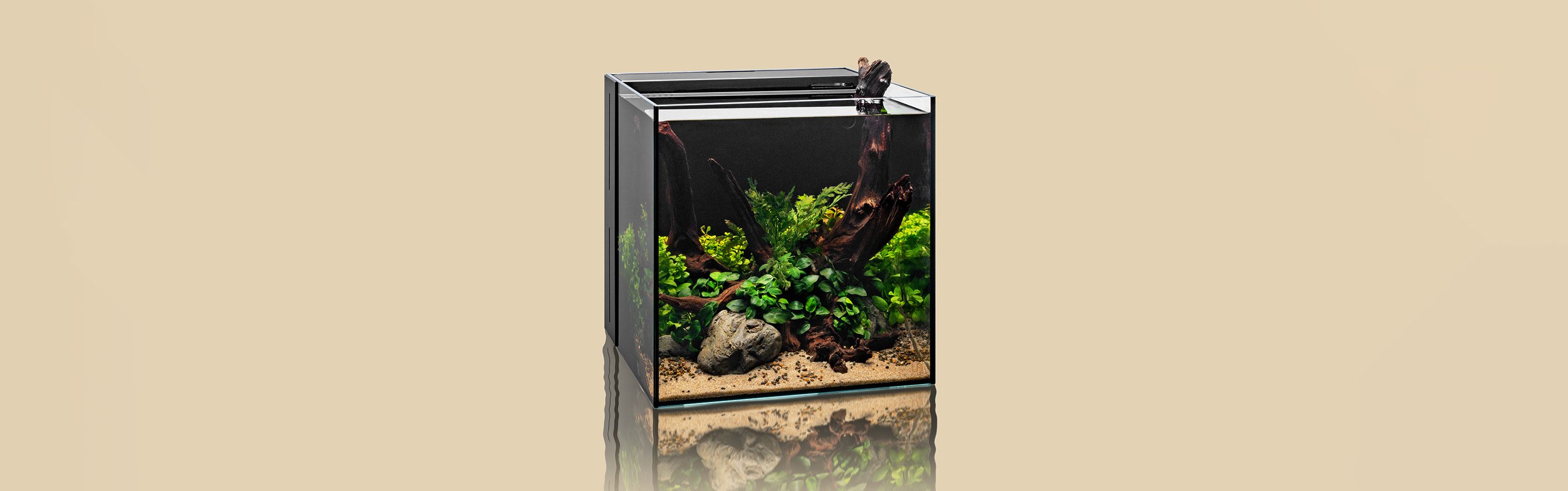 UNS Dual All In One Aquarium kaufen | UNS Shop
