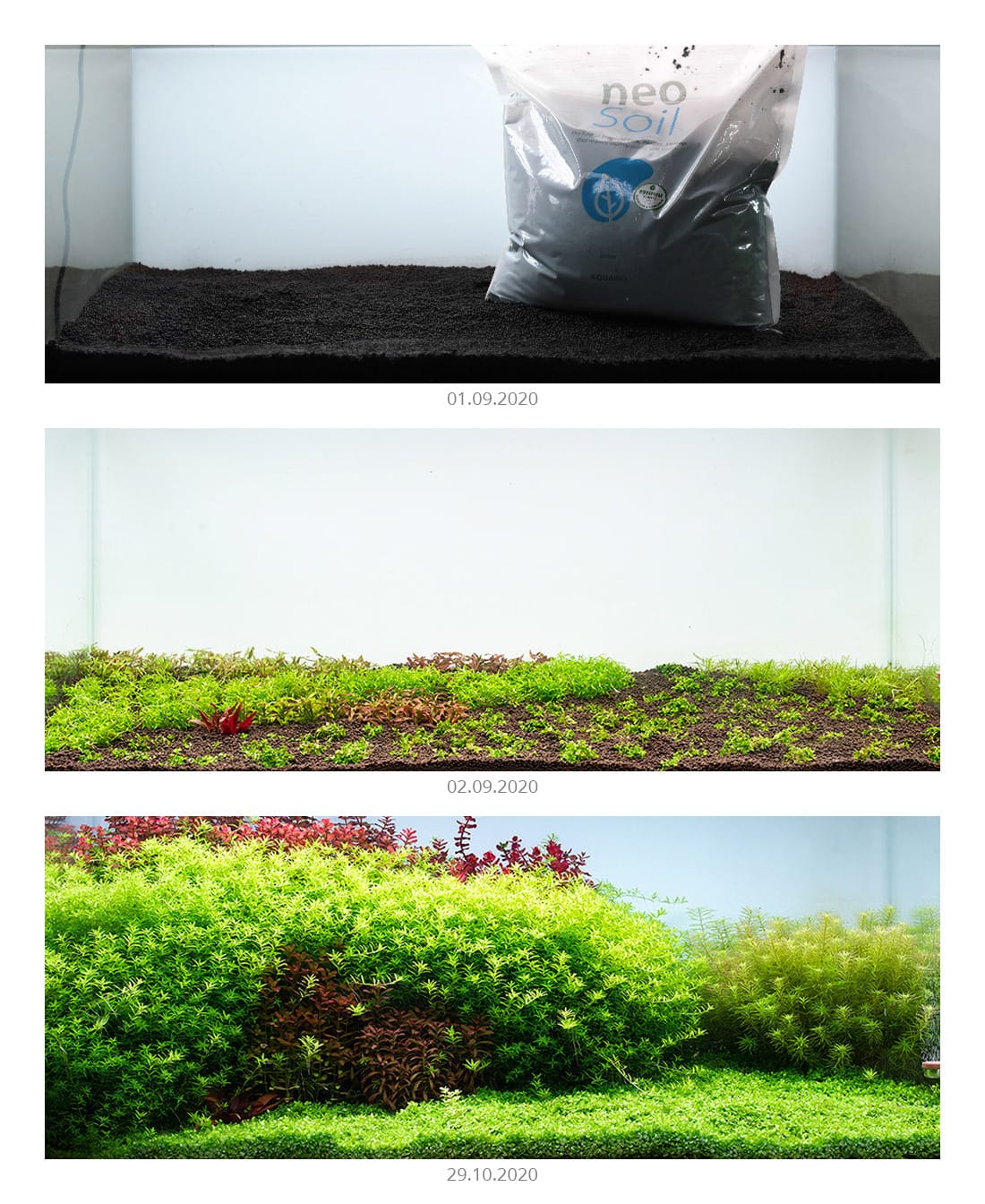 AQUARIO - Neo Soil Compact - Plant Powder - 3 l | Aquasabi - Aquarium Shop