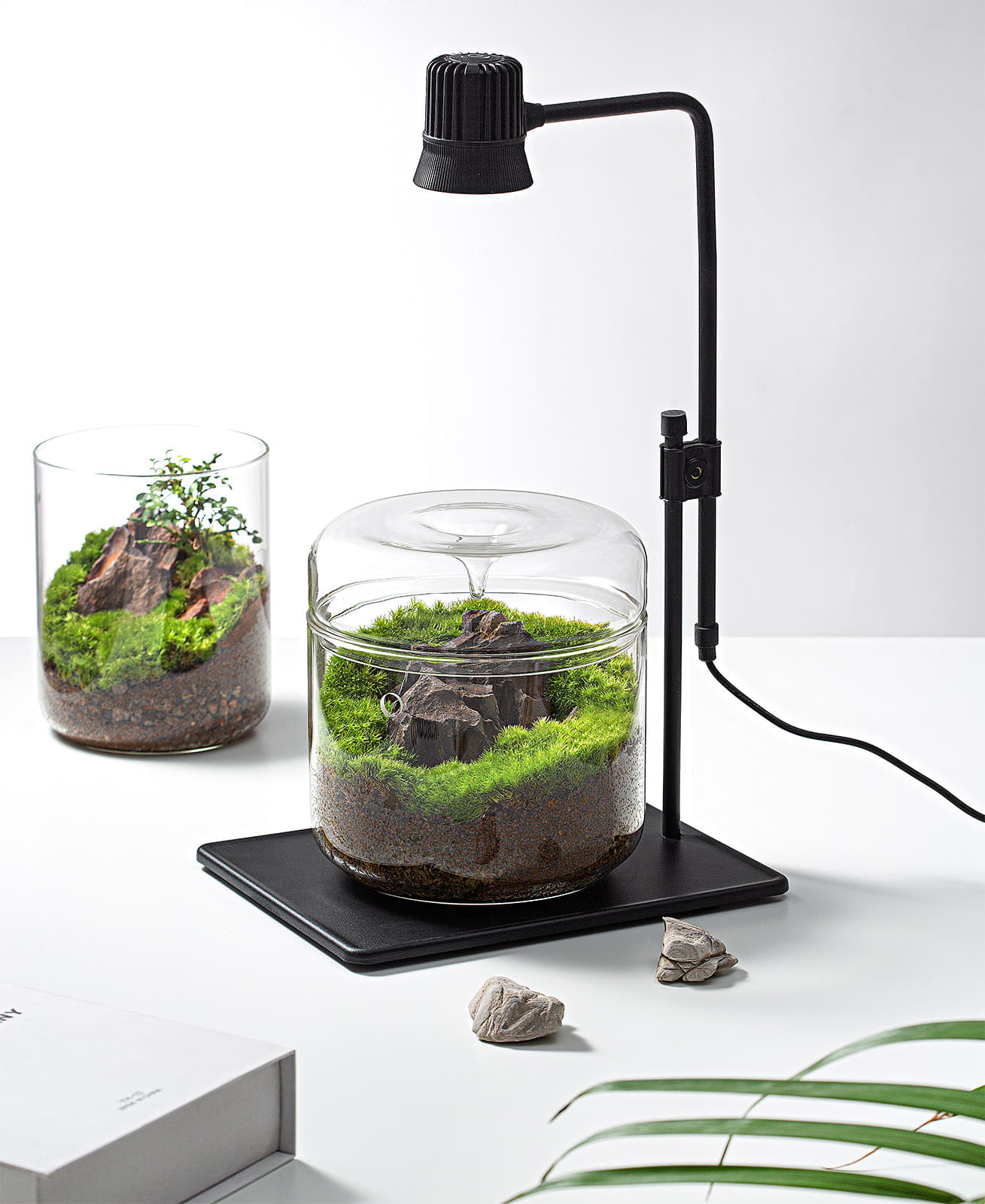 Bioloark - Wabi-Kusa Lampe DX-5B | Aquasabi - Aquarium Shop