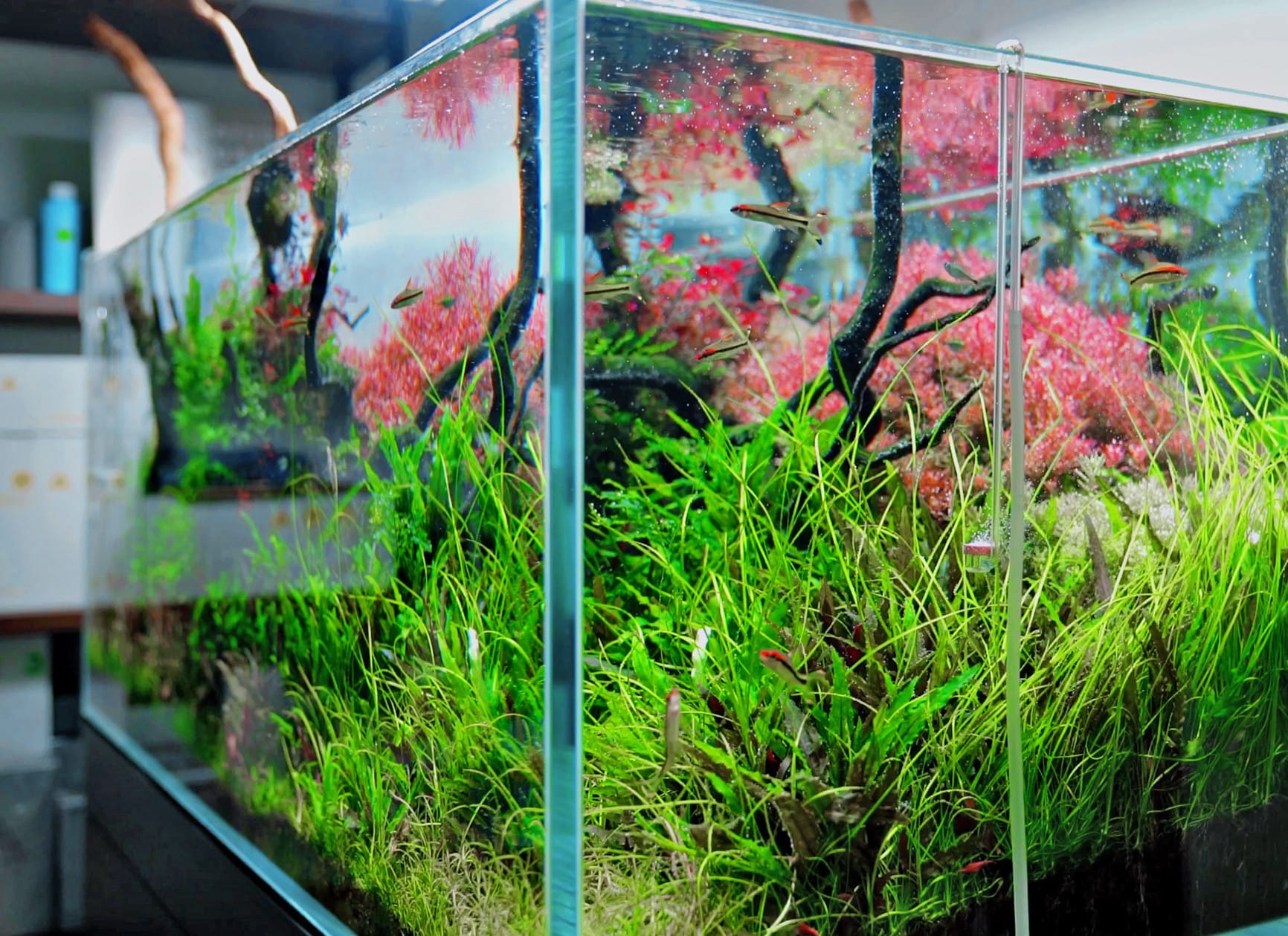 Aquario Neo Curved - Large Diffuser