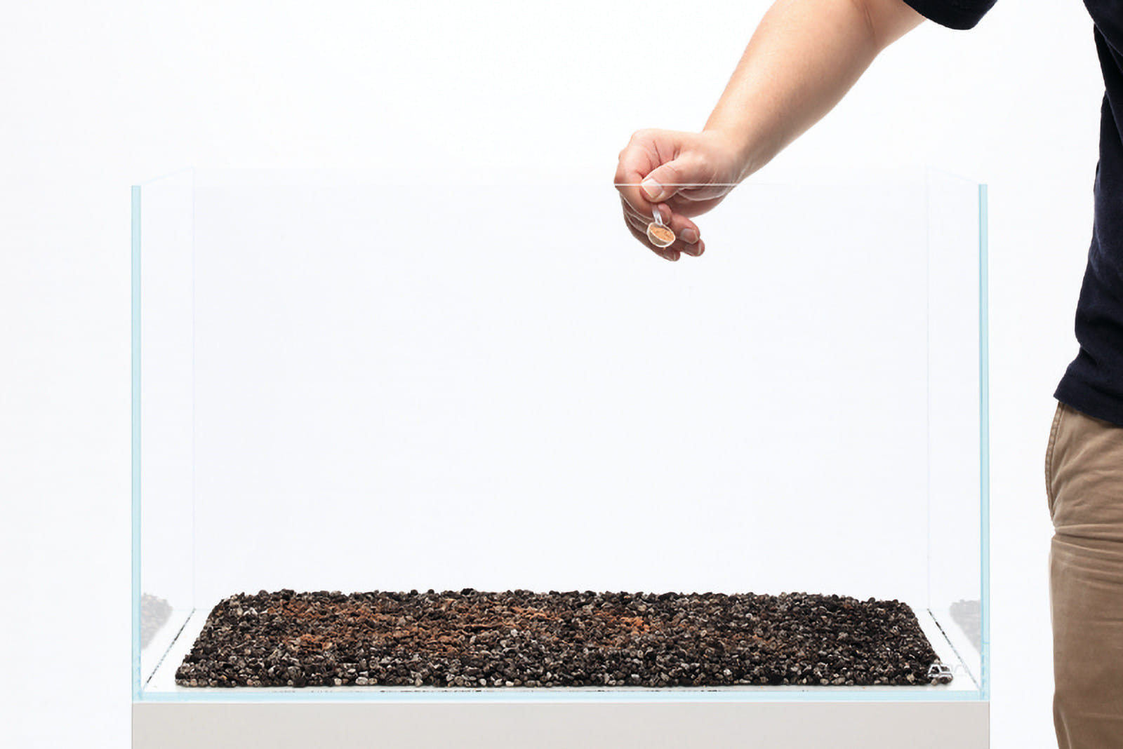 Neue ADA Power Sand-Serie - | Aquasabi | Aquasabi - Aquarium Shop