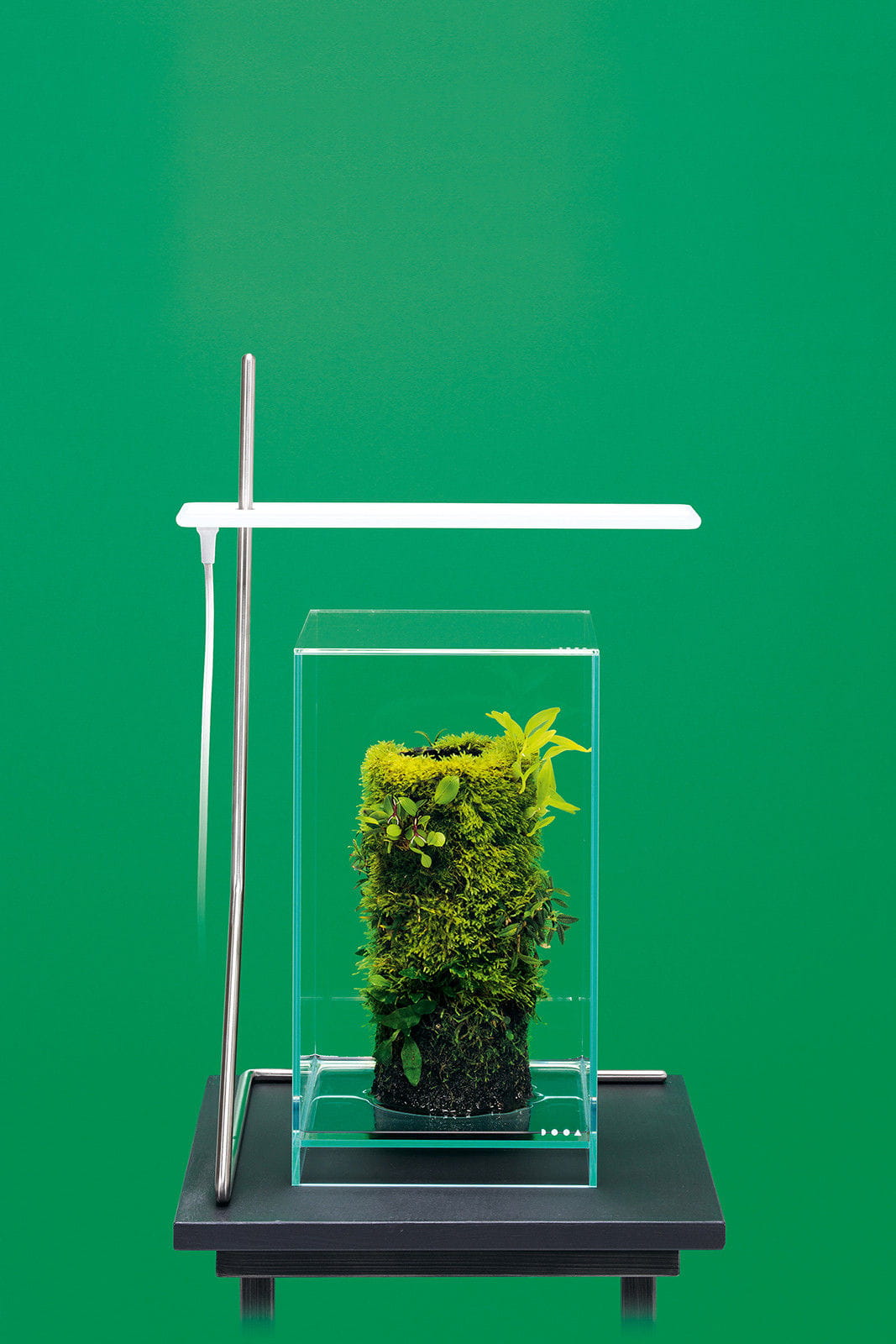 DOOA Terra Base - | Aquasabi | Aquasabi - Aquarium Shop