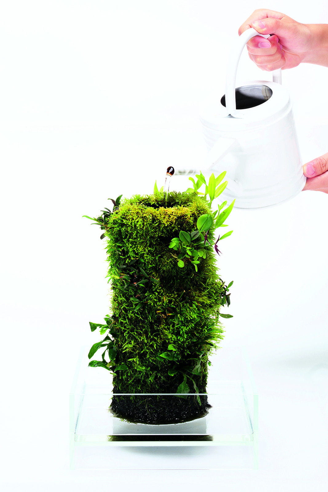 DOOA Terra Base - | Aquasabi | Aquasabi - Aquascaping Shop