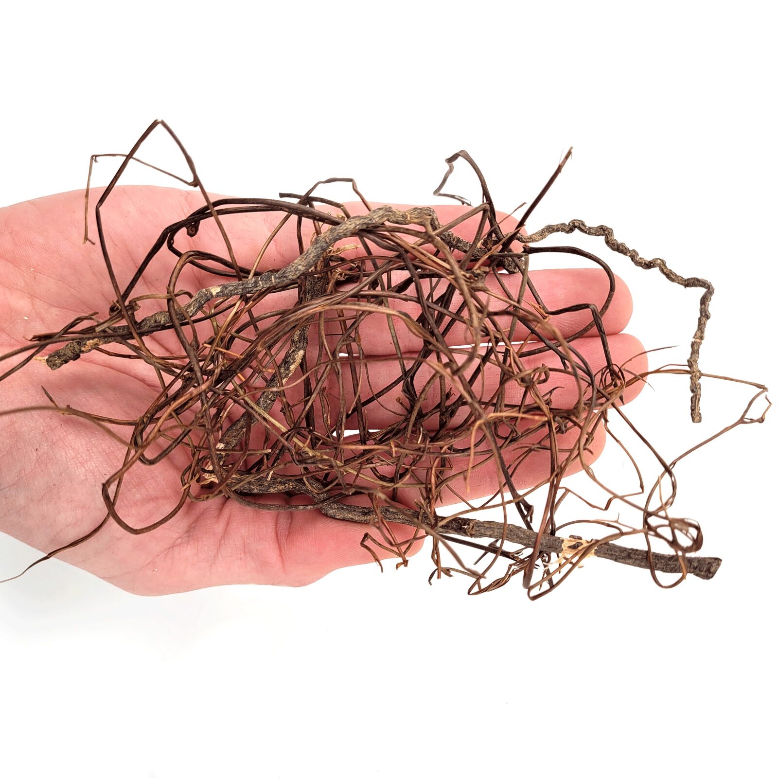WIO - Decor-Roots - Mini Roots | Aquasabi - Aquarium Shop