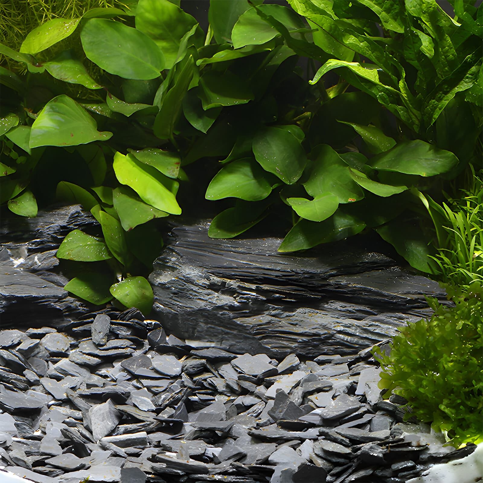 Dennerle - Natural Gravel - Kongo - 10-30 mm | Aquasabi - Aquarium Shop