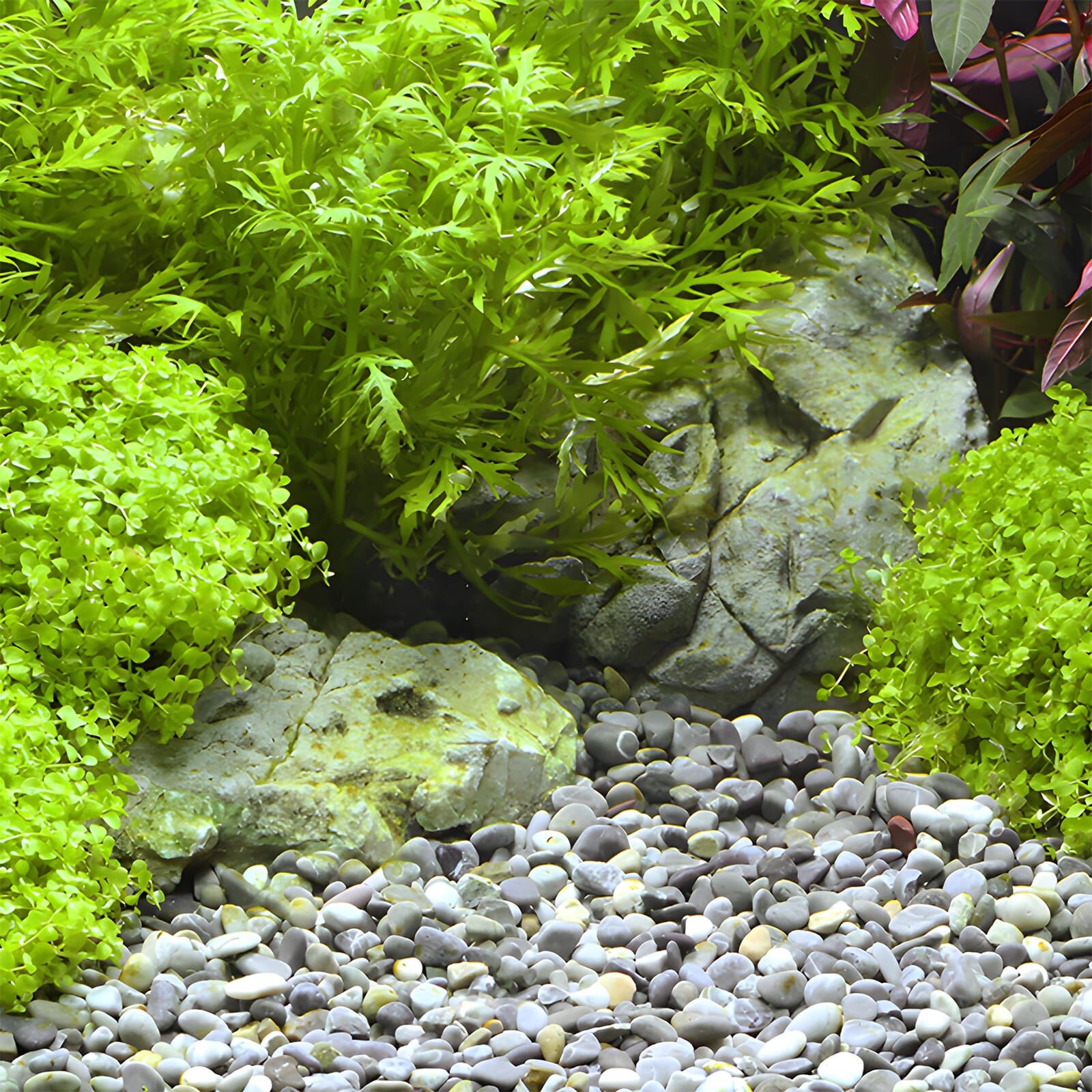 Dennerle - Natural Gravel - Okavango - 4-8 mm | Aquasabi - Aquarium Shop