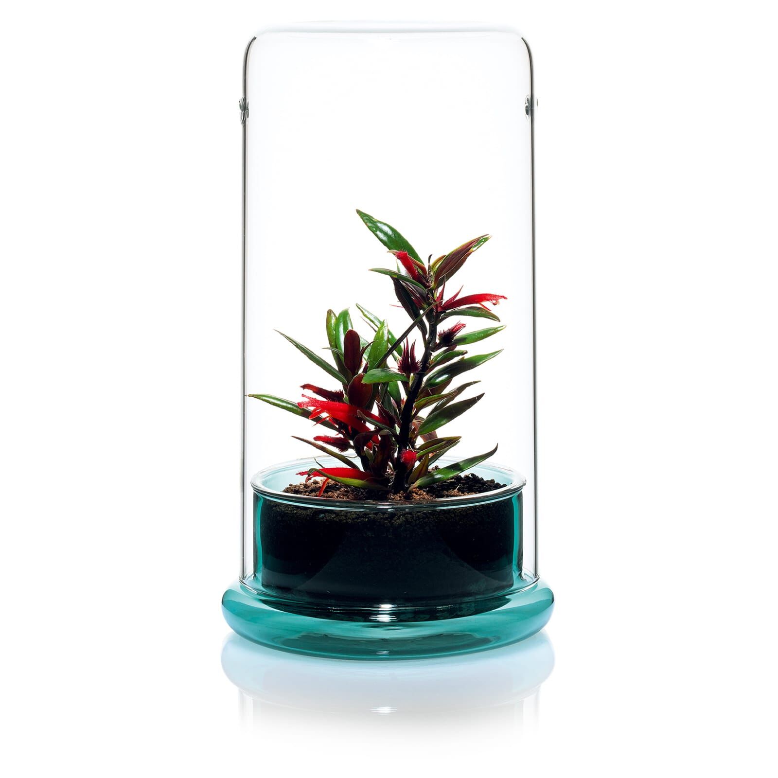 DOOA - Cell - Emerald | Aquasabi - Aquarium Shop