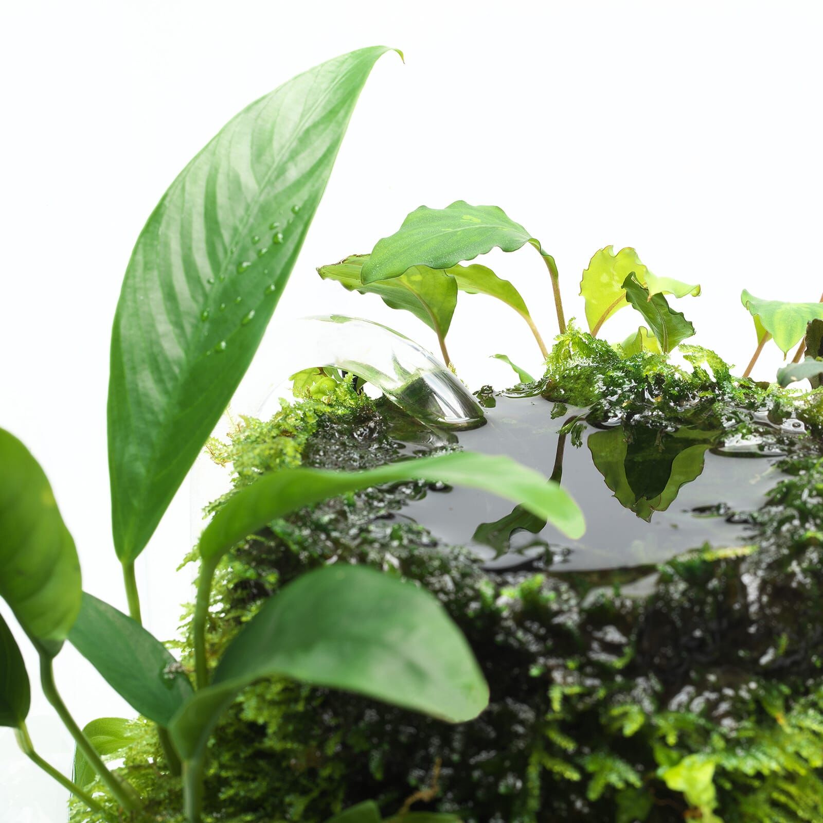 DOOA - Terra Base Flow Pipe | Aquasabi - Aquarium Shop