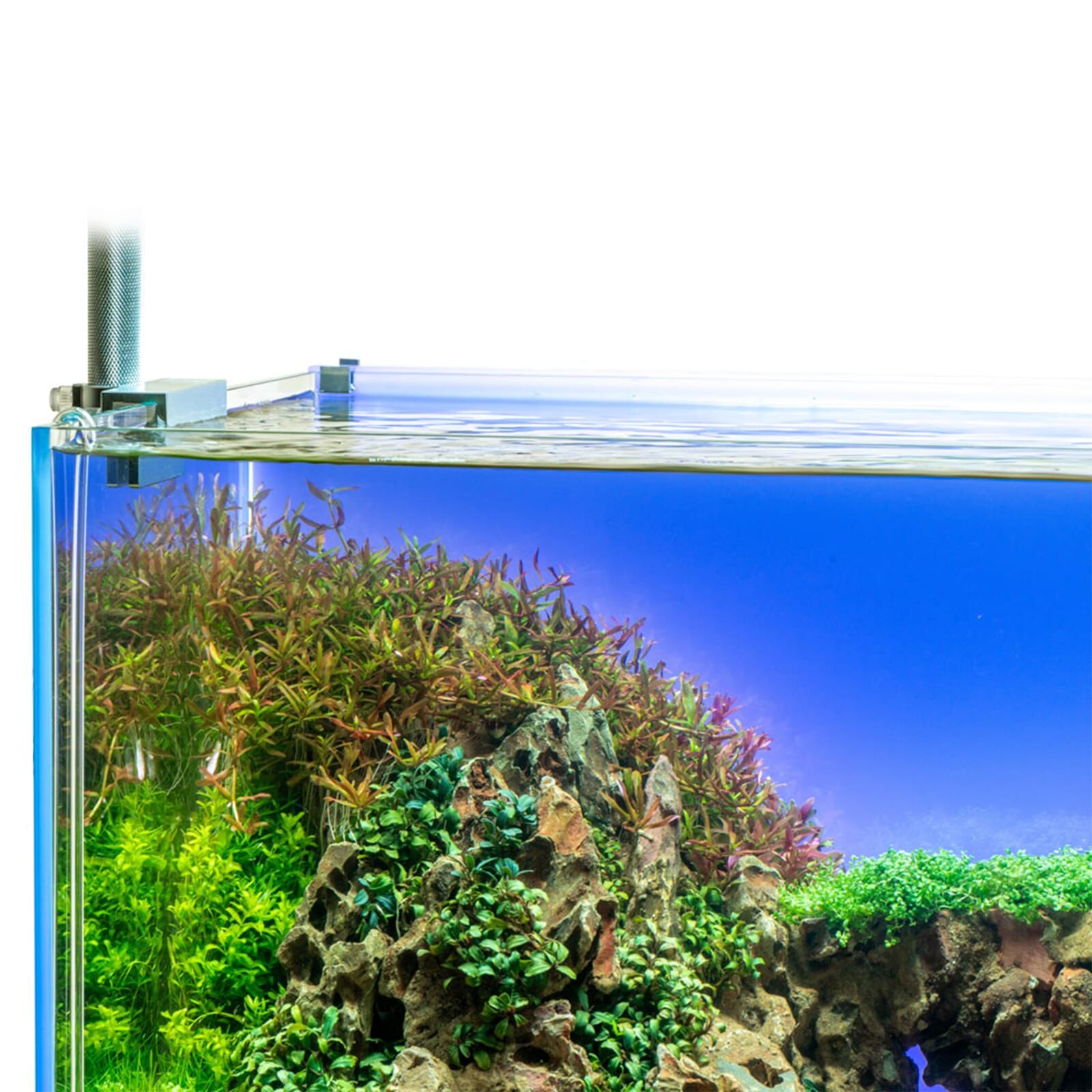 UNS - Atmos Backlight | Aquasabi - Aquarium Shop