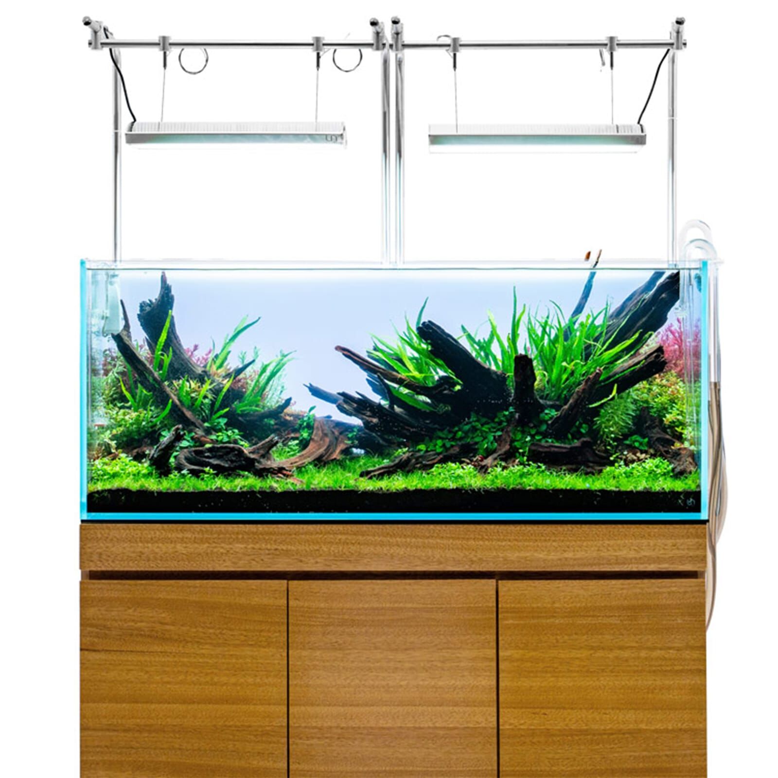 UNS - Atmos Backlight | Aquasabi - Aquarium Shop