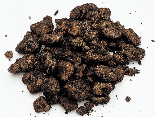 ADA Power Sand - | Aquasabi | Aquasabi - Aquascaping Shop