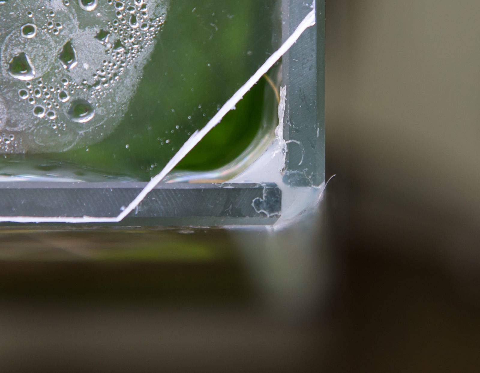 Aquarium: butt- or bead bonding - | Aquasabi | Aquasabi - Aquascaping Shop