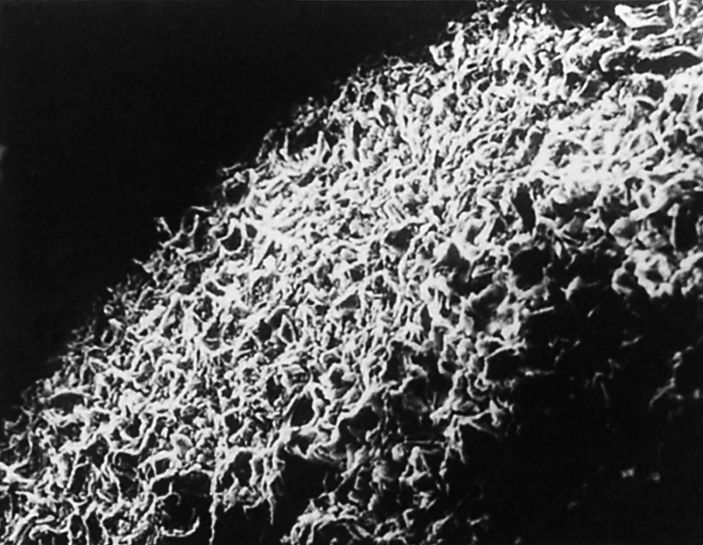 Sukei Research: Filtration System - | Aquasabi | Aquasabi - Aquascaping ...