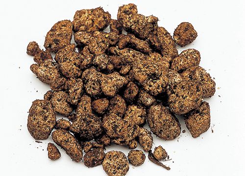 ADA Power Sand - | Aquasabi | Aquasabi - Aquascaping Shop