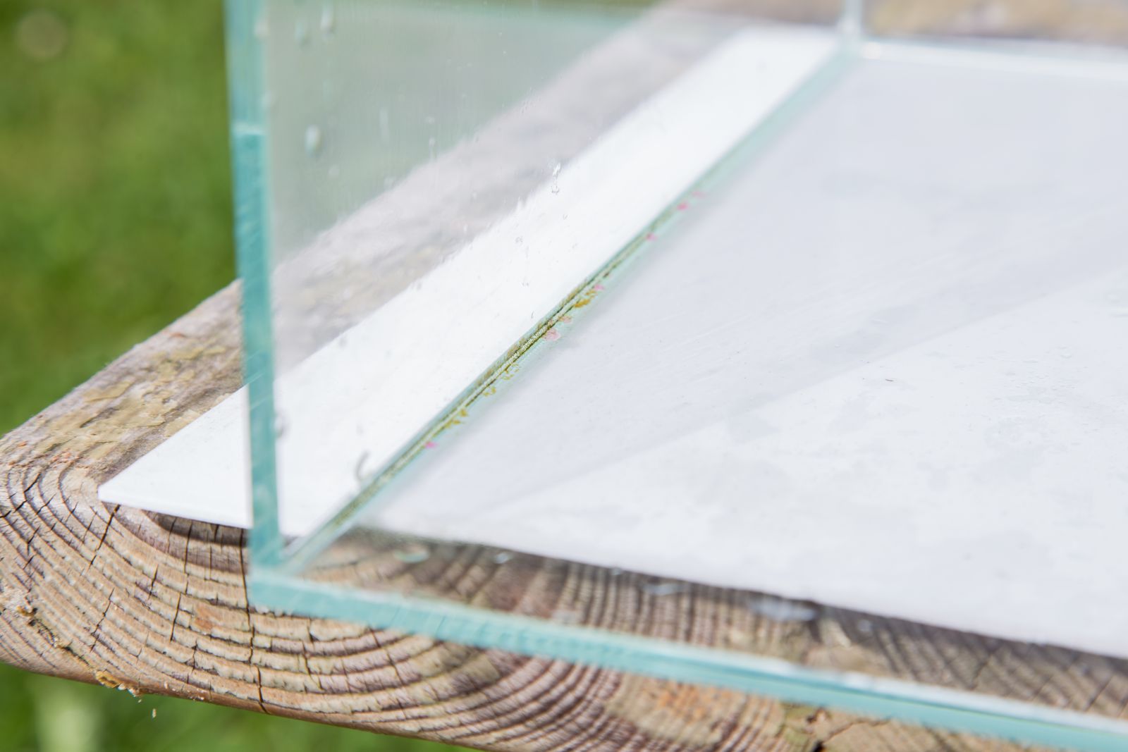 Oliver Knott: cleaning silicone seams - | Aquasabi | Aquasabi ...