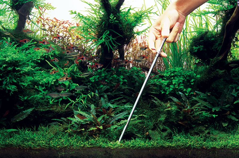 ADA Power Sand - | Aquasabi | Aquasabi - Aquarium Shop