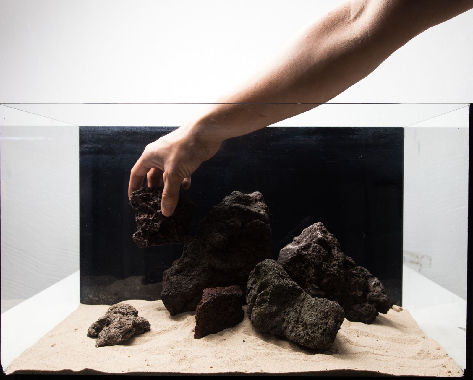 Low Budget Aquascaping - | Aquasabi | Aquasabi - Aquarium Shop